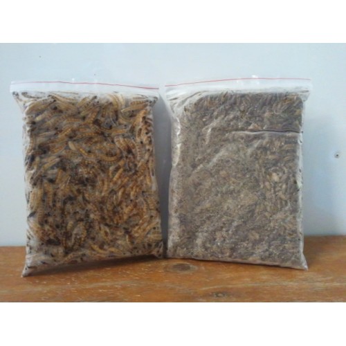 Livefoods Unlimited - Frozen Insects